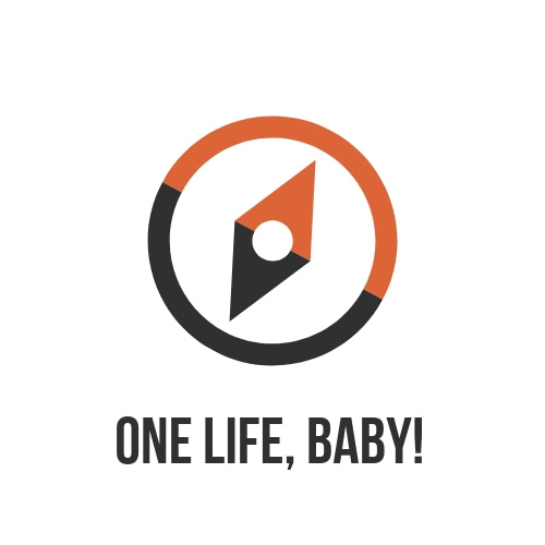 One Life Baby! - Finde Arbeit, die du liebst